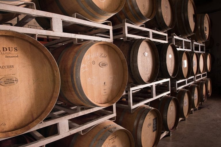 Soreq Winery | ענבל כבירי | Inbal Cabiri